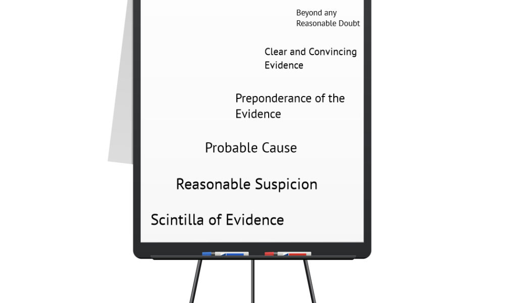 burden of proof Archives - Trial Theory